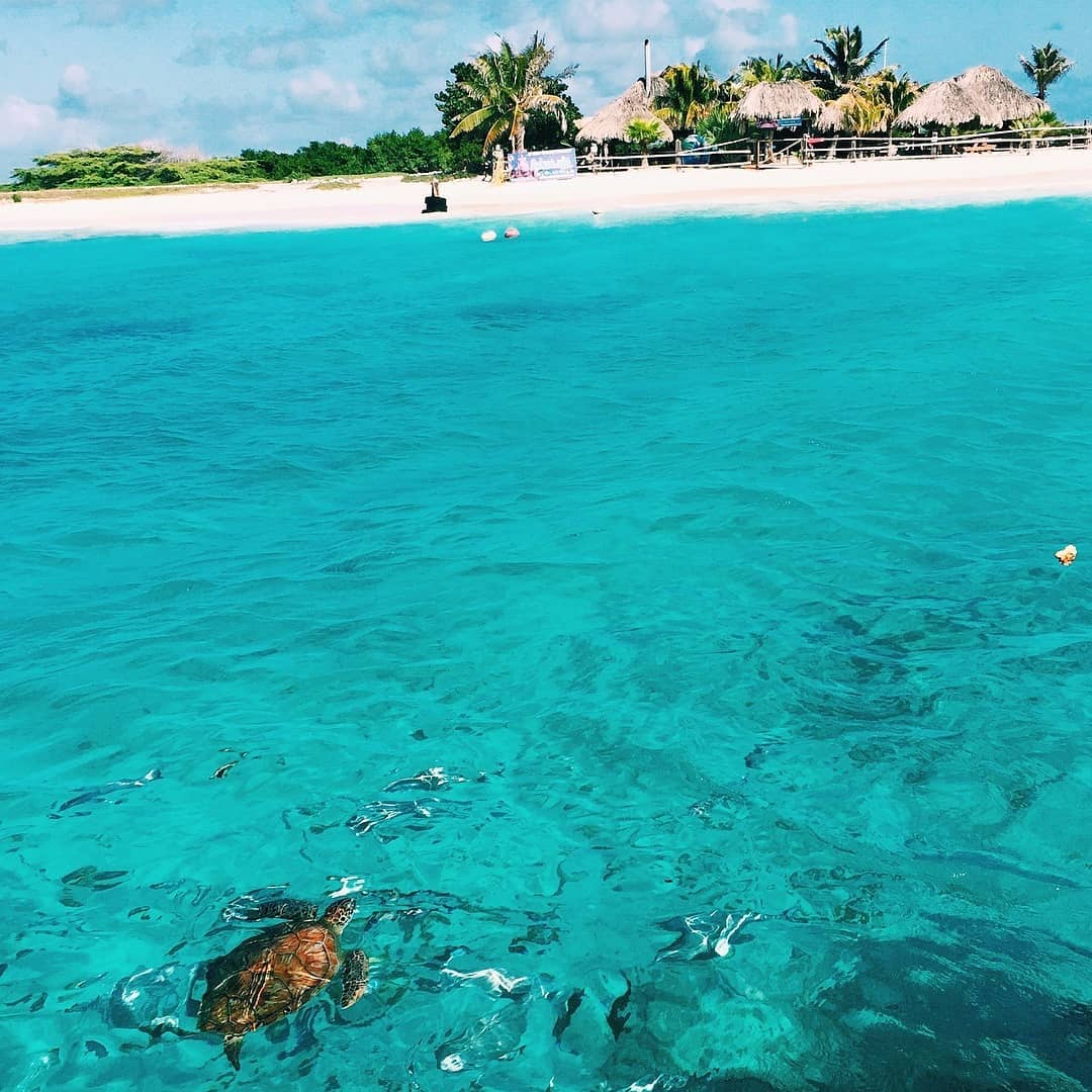 Tour a Klein Curacao - The Mermaid | 100% comodidad y servicio